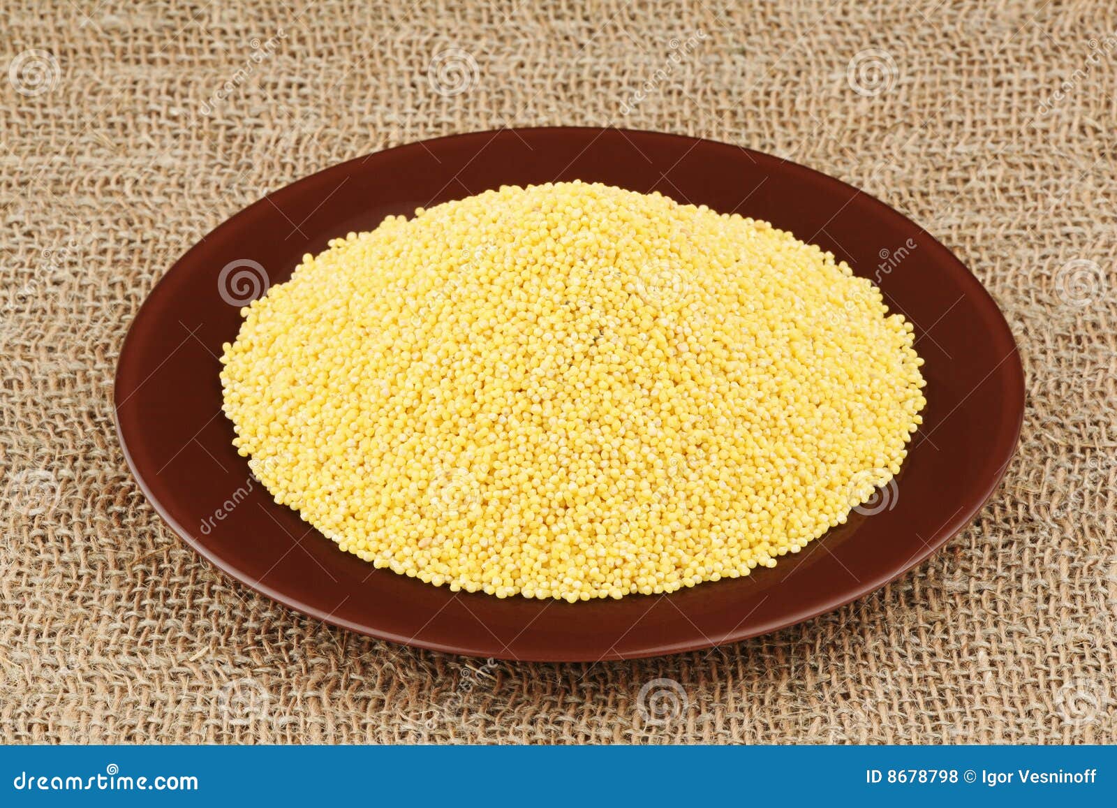 Plate with millet stock photo. Image of food, cooking - 8678798