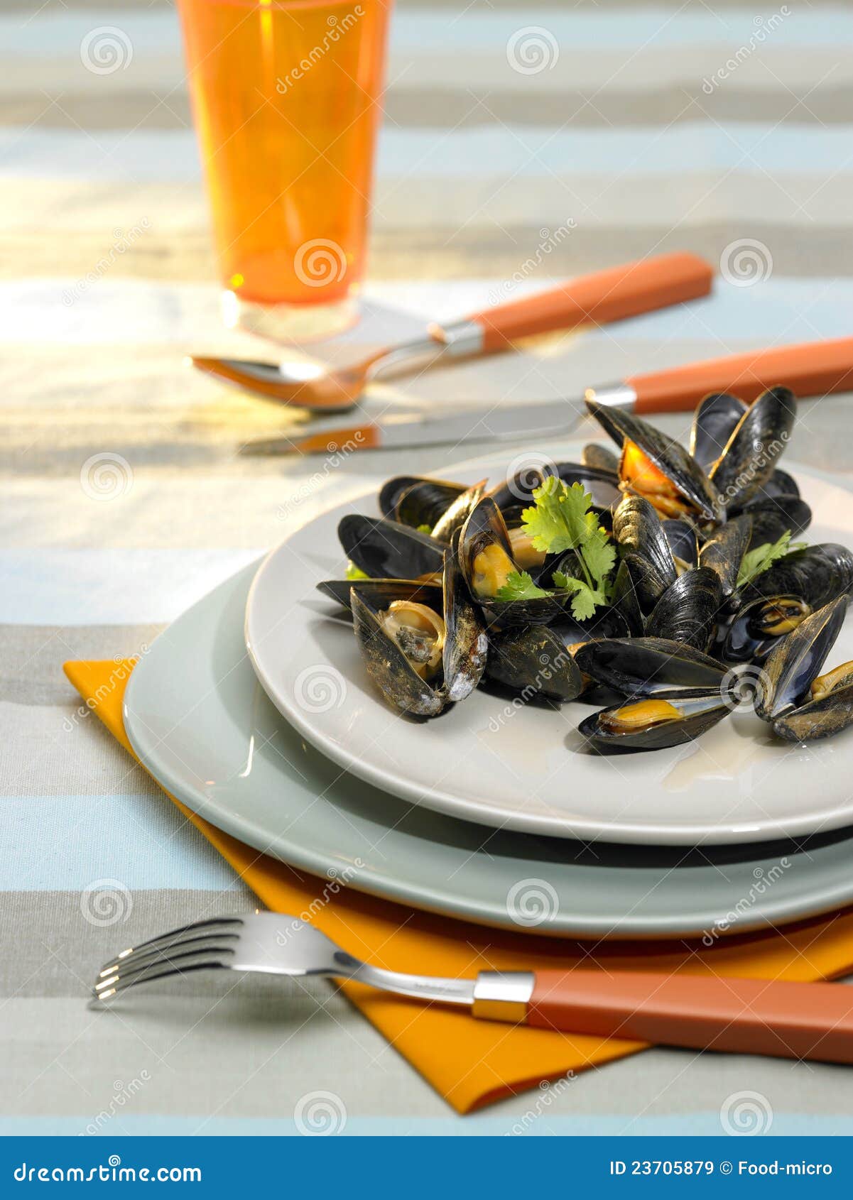 Plate of mussels stock image. Image of ingredient, plate - 23705879