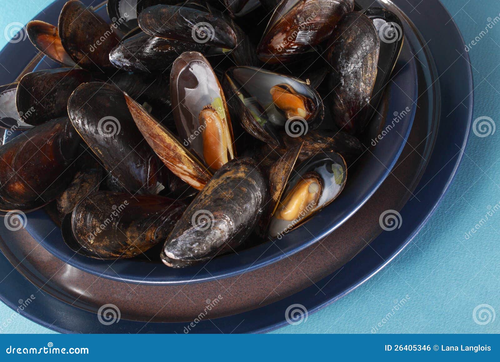 Plate of mussels stock photo. Image of steamed, boiled - 26405346