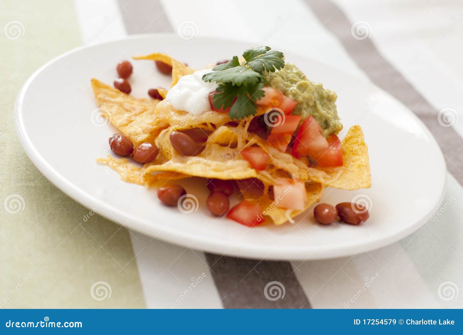 Plate of Nachos stock image. Image of dairy, cheese, mexican - 17254579