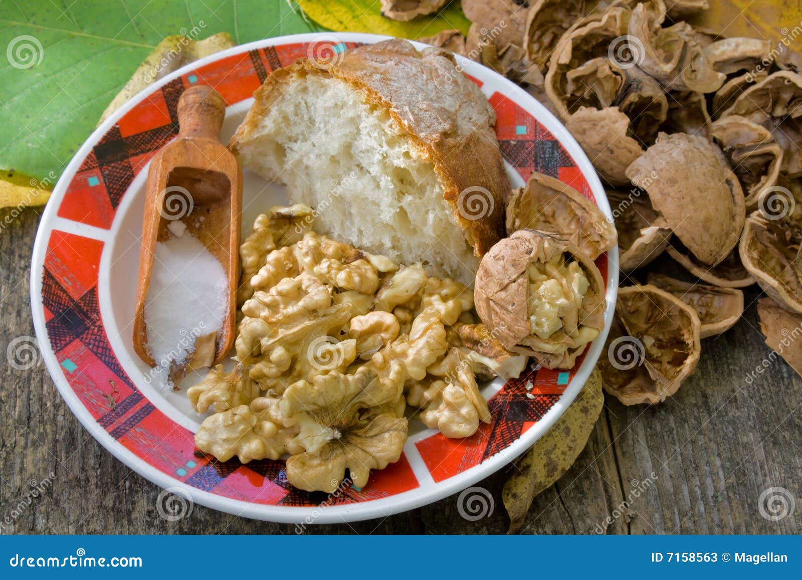 Plate with nuts stock image. Image of garden, natural - 7158563