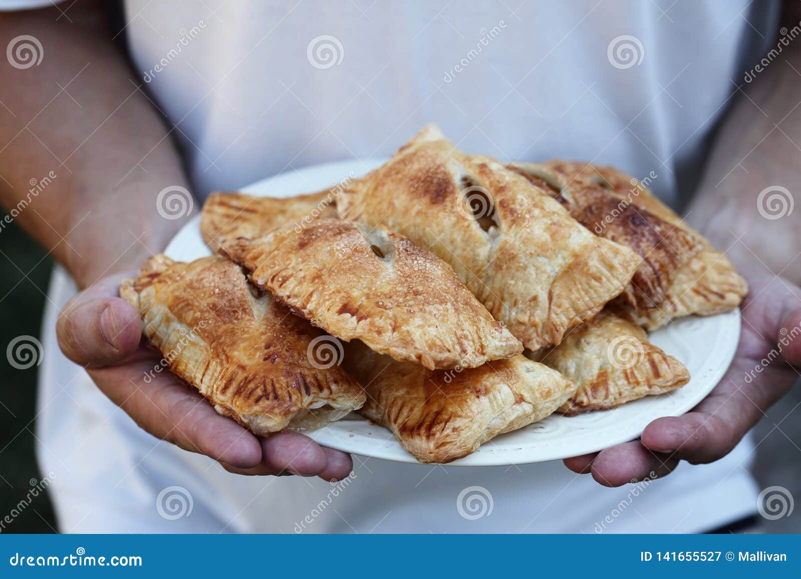 Plate with pies in hands stock image. Image of holds - 141655527