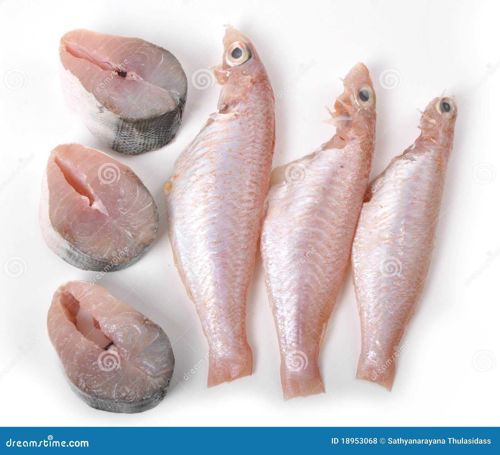 Plate of raw fish stock photo. Image of portion, isolation - 18953068