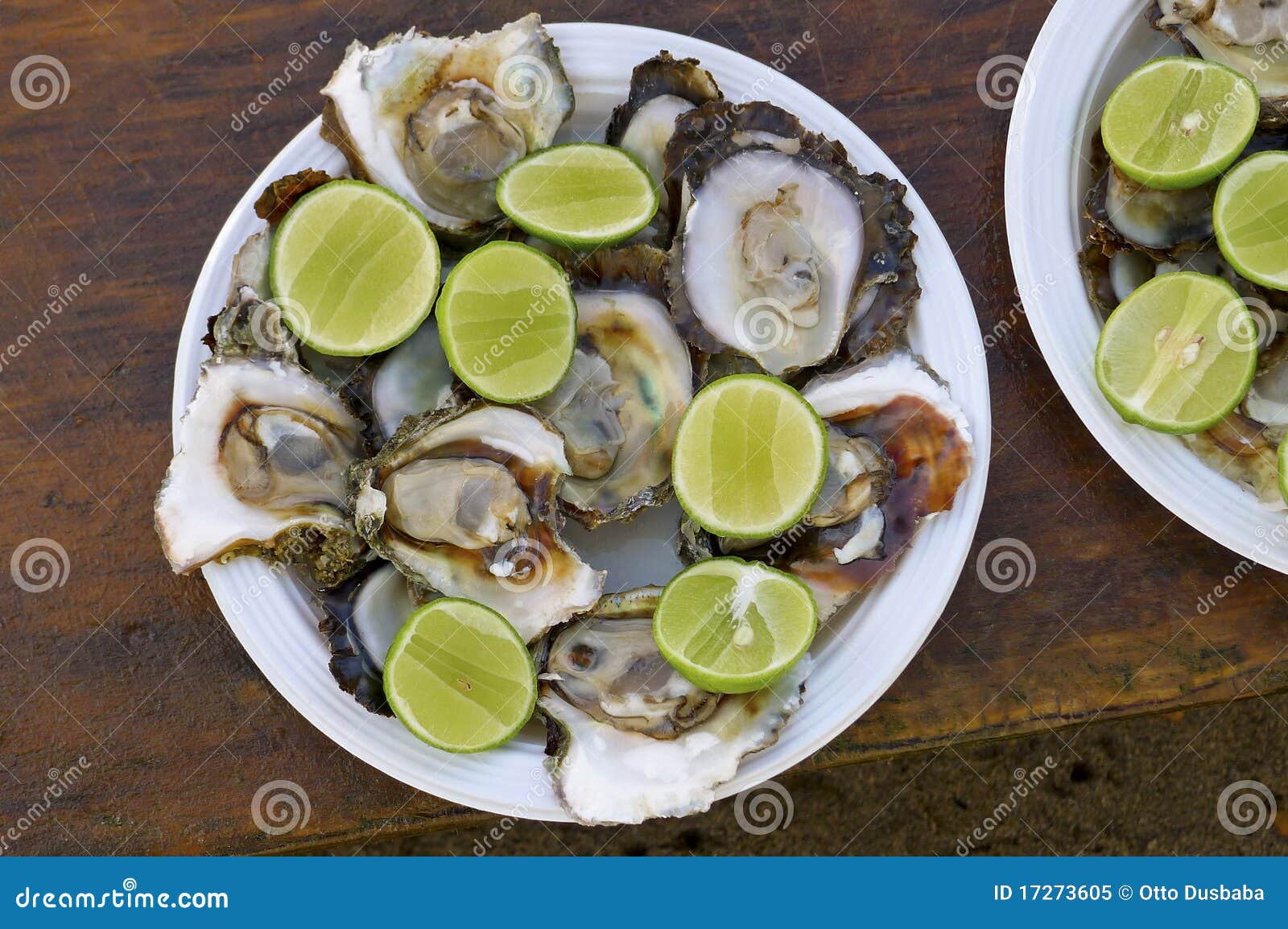Plate of raw oysters stock image. Image of lime, mollusks - 17273605