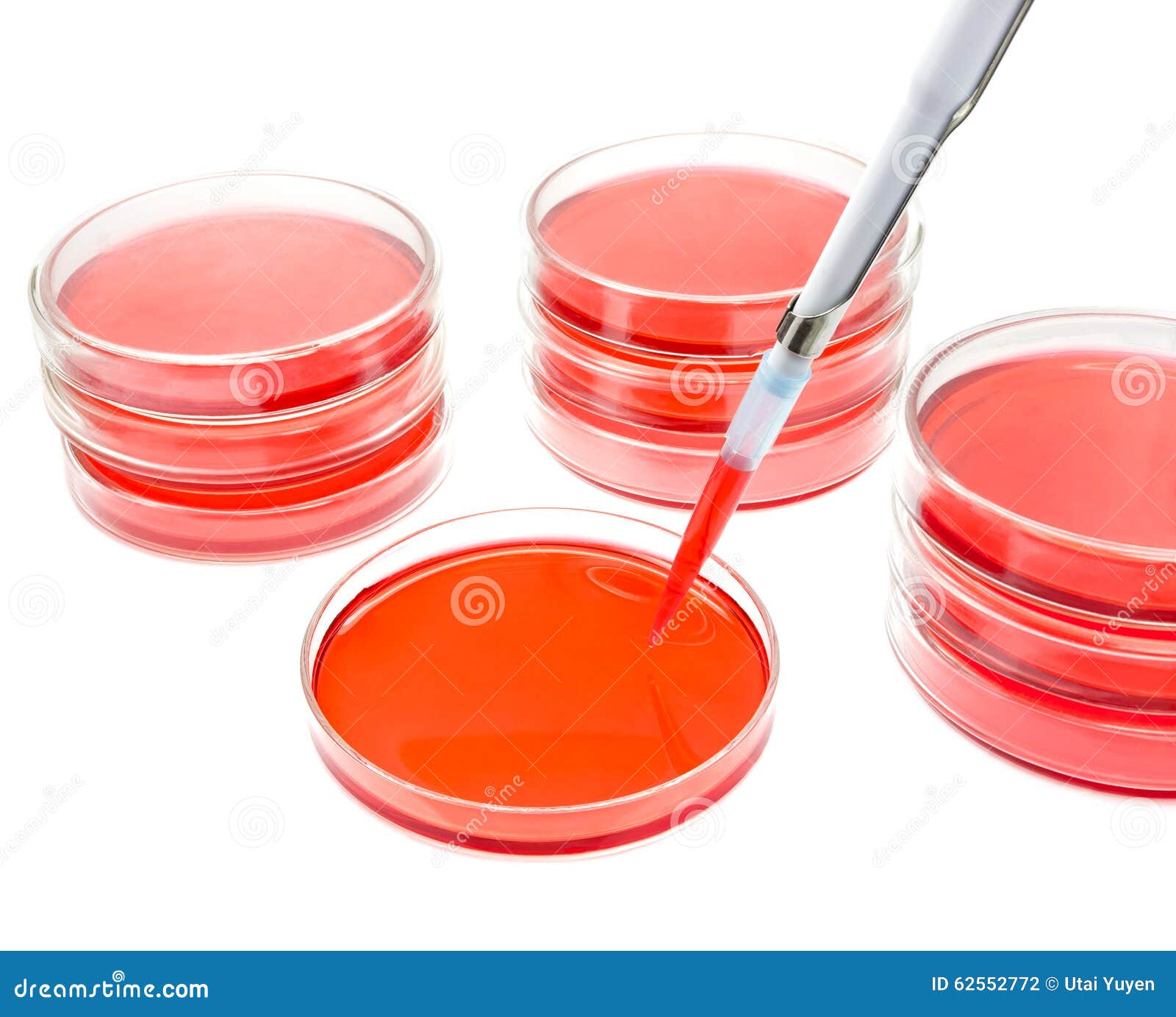Plate Red Solution Test Laboratory Stock Photo - Image of pipette ...