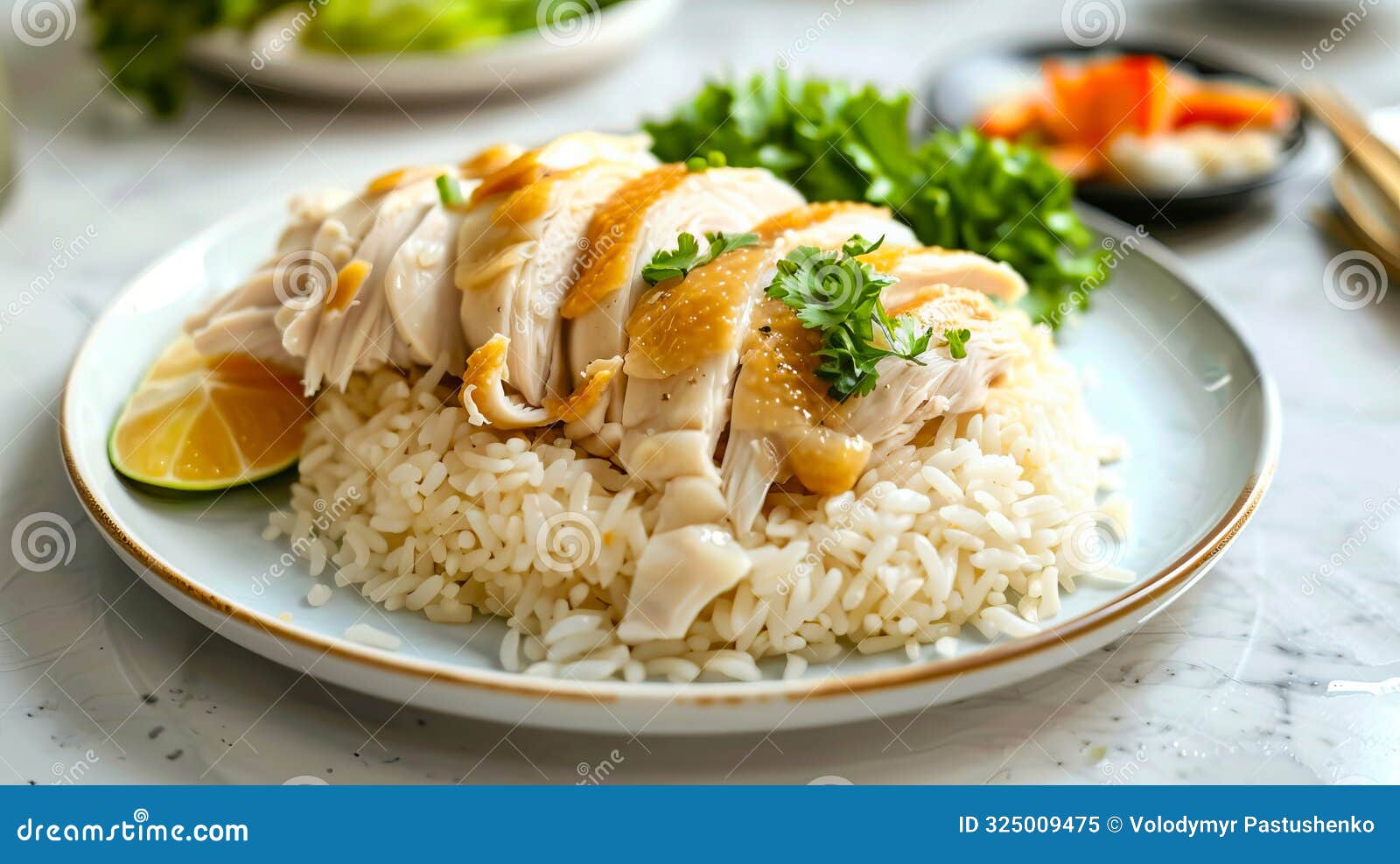 A Plate of Rice with Chicken and Garnish Stock Image - Image of meal ...