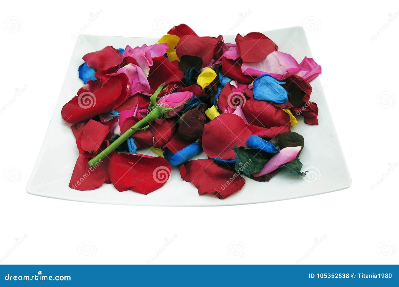 Plate with rose petals stock photo. Image of decoration - 105352838