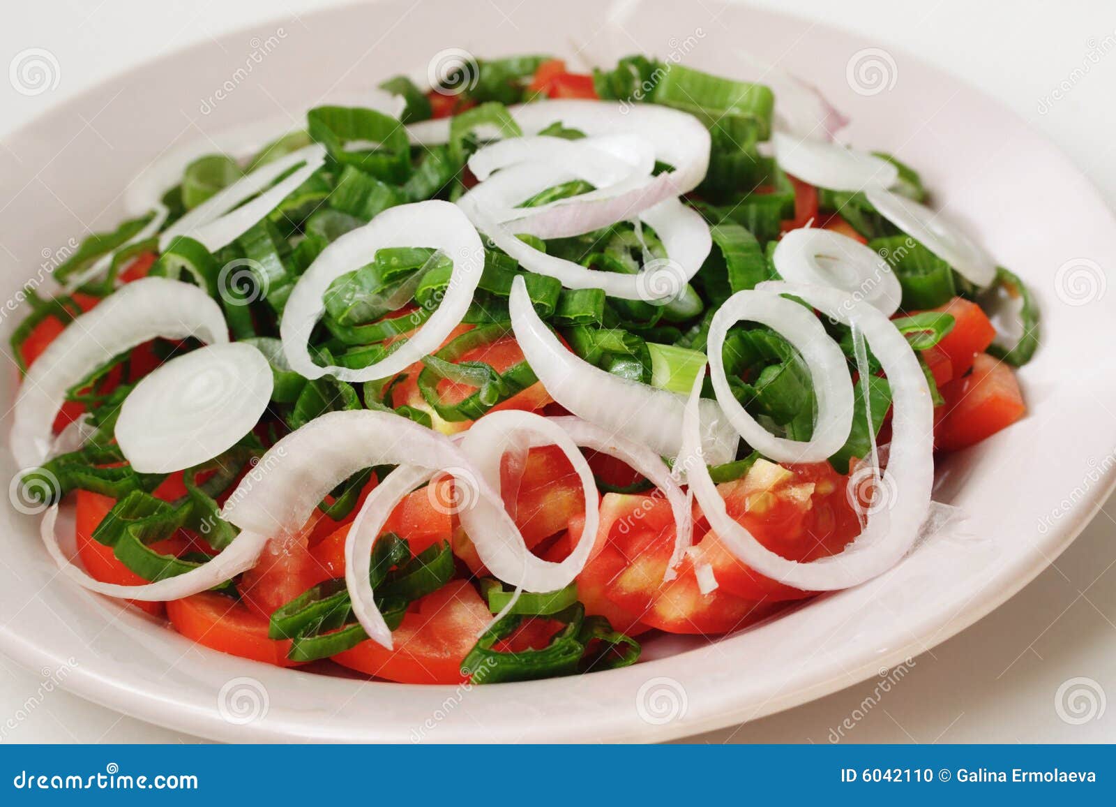 Plate with salad stock photo. Image of meal, green, ring - 6042110
