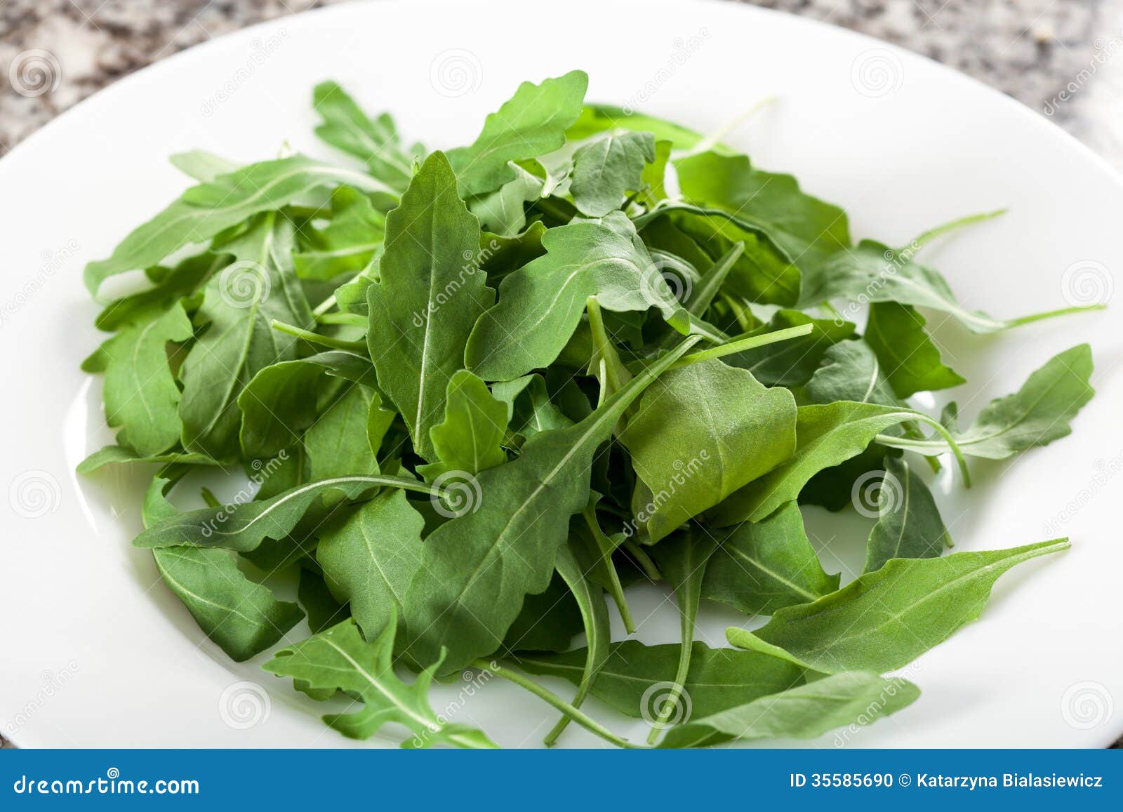 Plate with Salad Rocket Leaves Stock Photo - Image of rocket, snacks ...