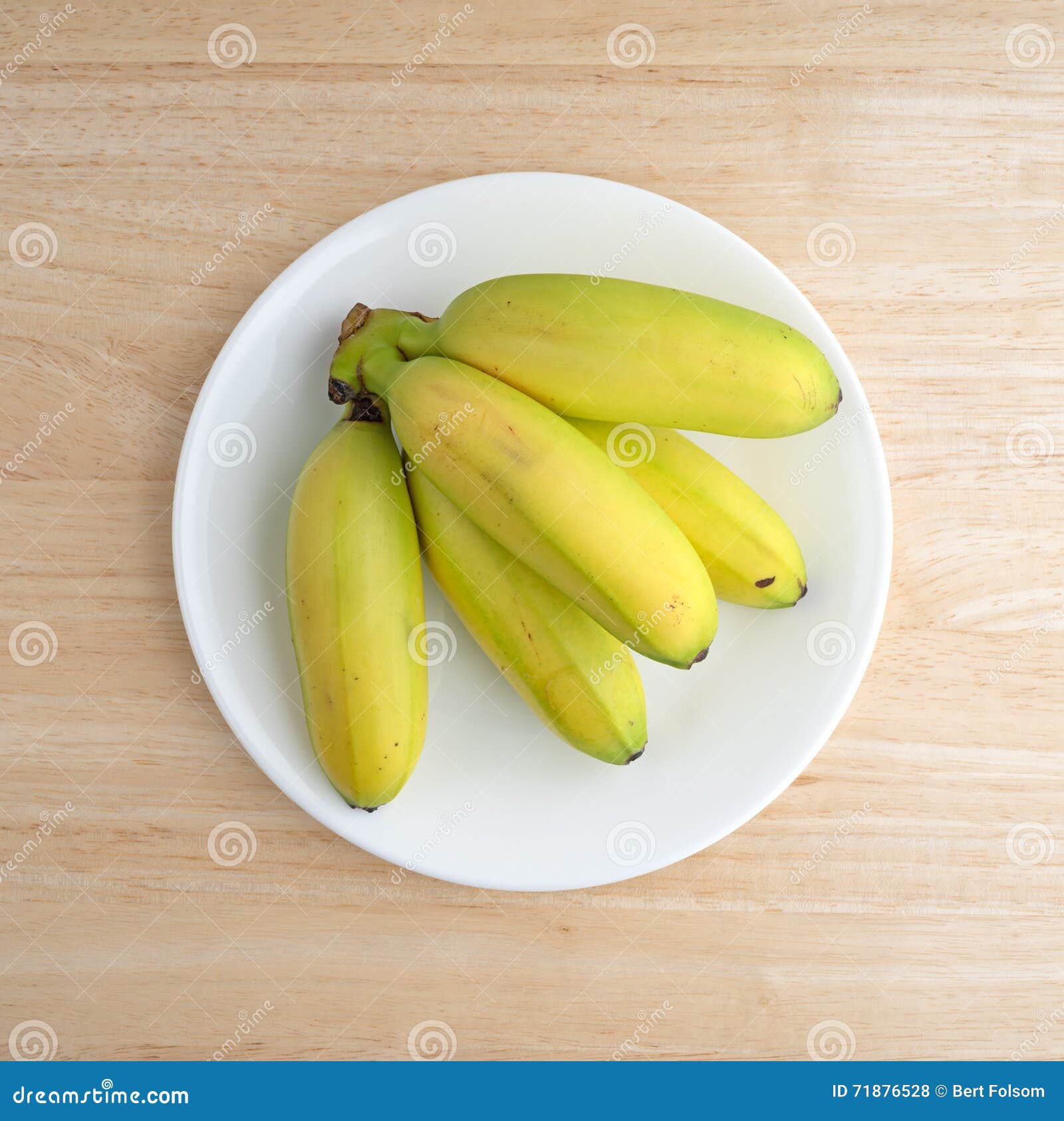 Small Bananas On A Plant In Nature Stock Photo | CartoonDealer.com ...