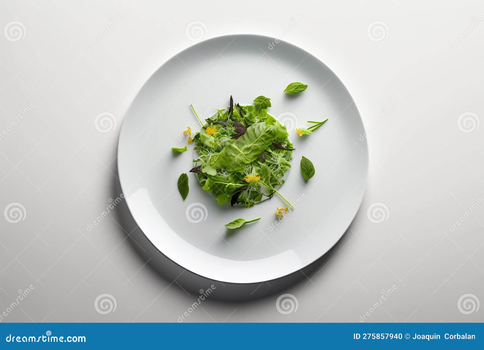 Plate with a Small Vegetable Salad, View from Above on a White ...