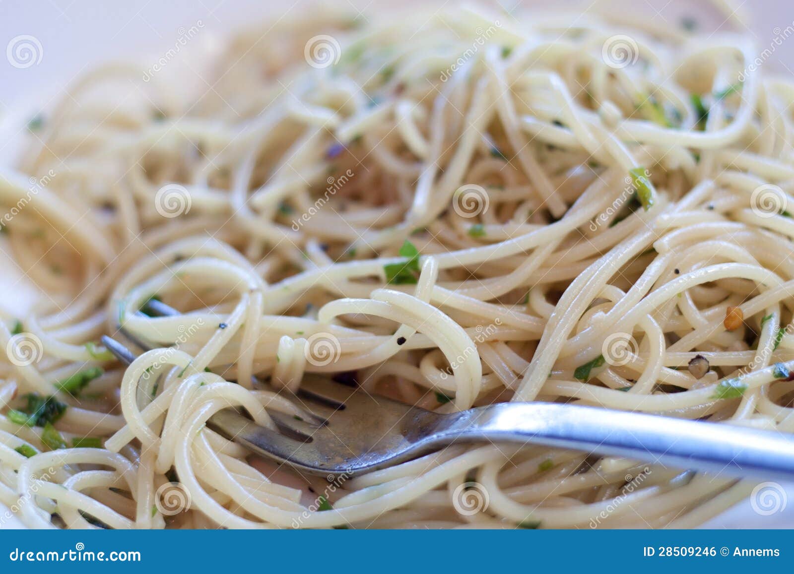 Plate of spaghetti stock photo. Image of pasta, restaurant - 28509246