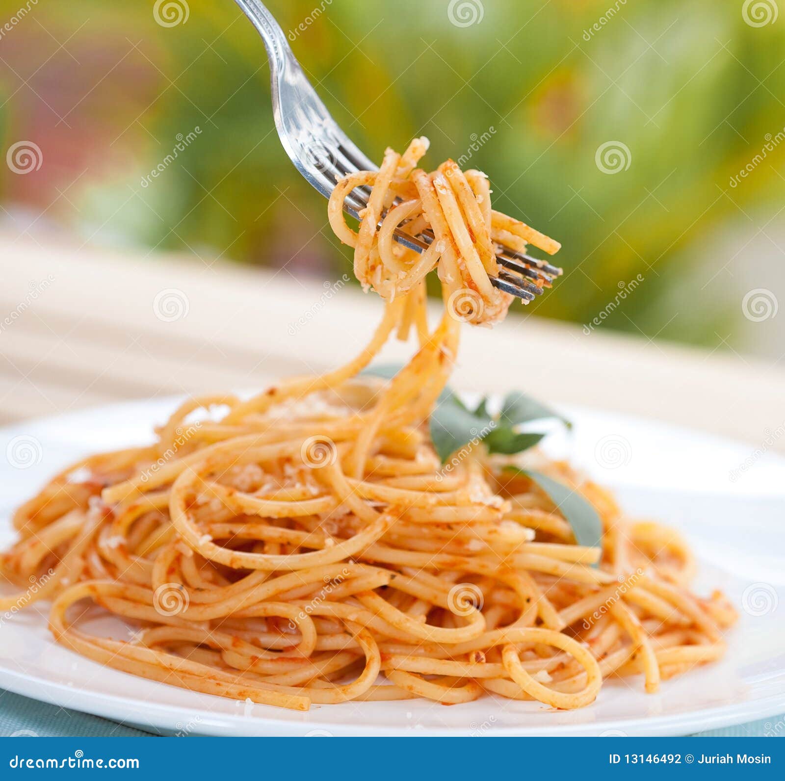 Plate of Spaghetti in Tomato Sauce with Basil Stock Photo - Image of ...