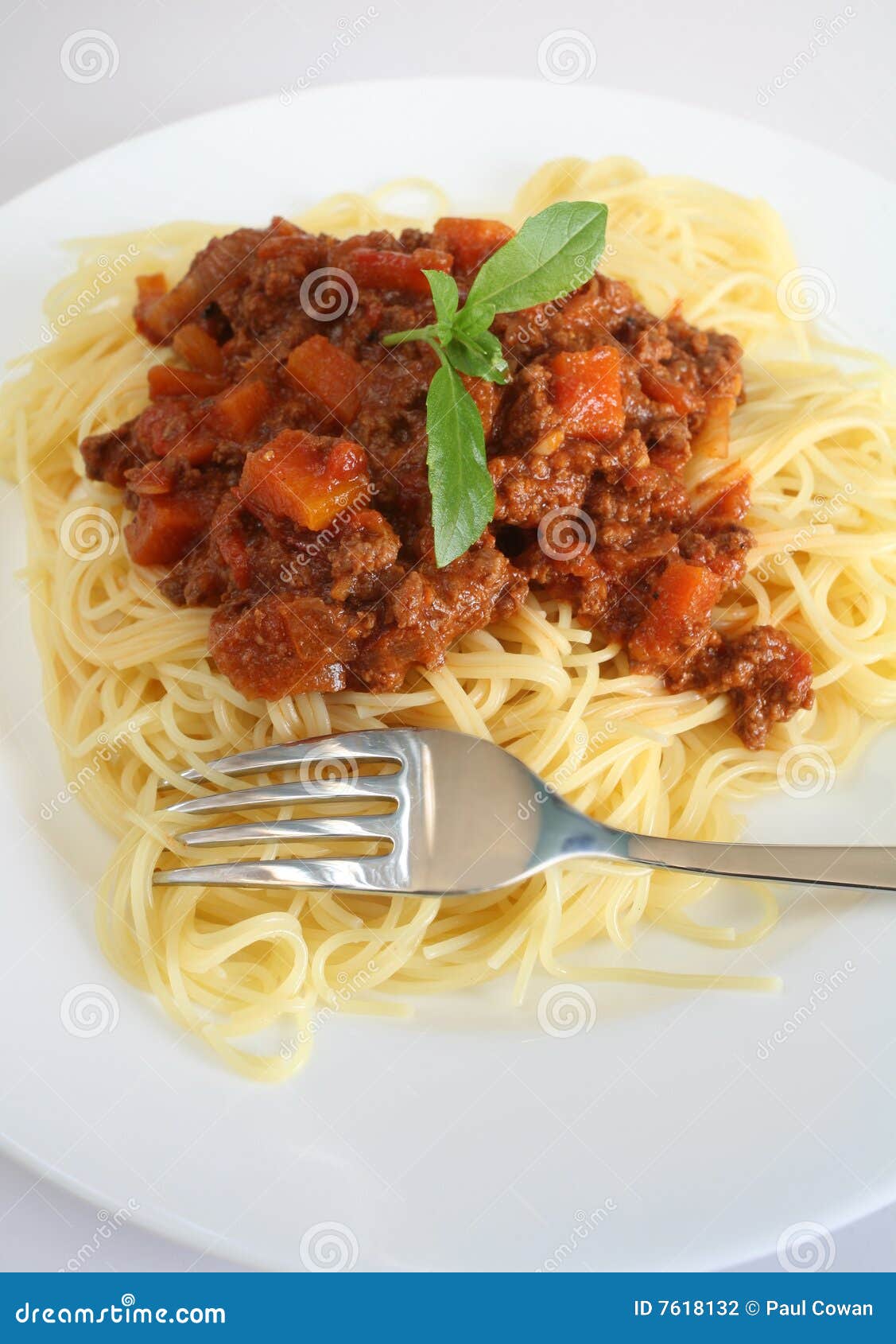 Plate of Spaghetti, Vertical Stock Photo - Image of mince, plate: 7618132