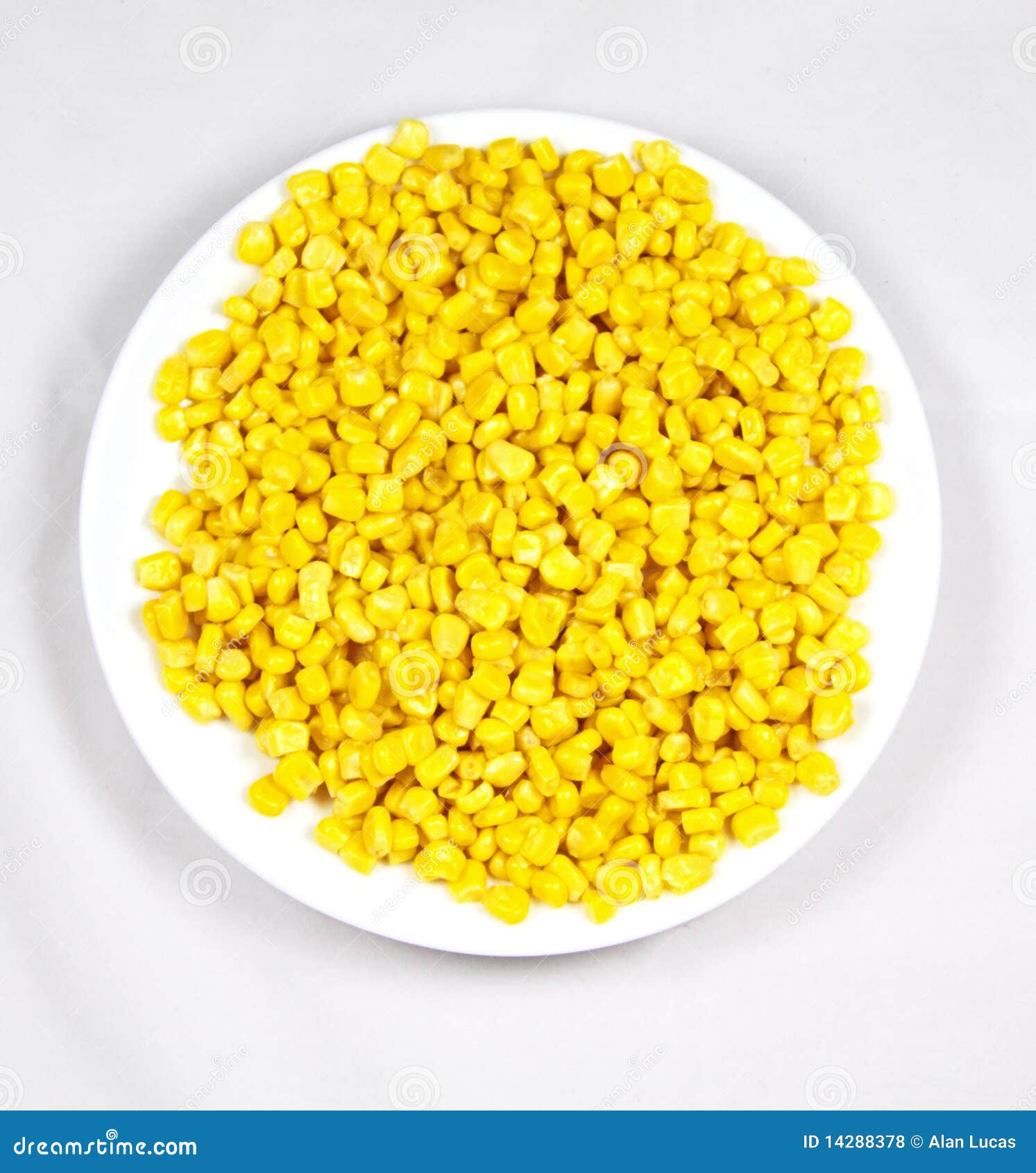 Plate of Sweetcorn stock photo. Image of maize, kernal - 14288378