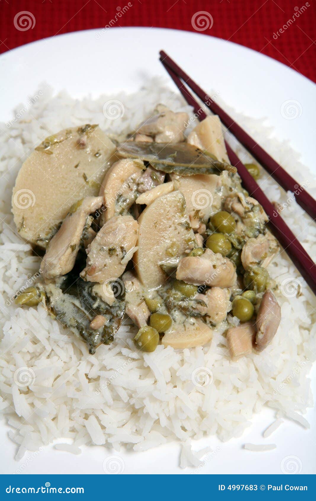 Plate of Thai Curry and Rice Stock Image - Image of coriander, bamboo ...