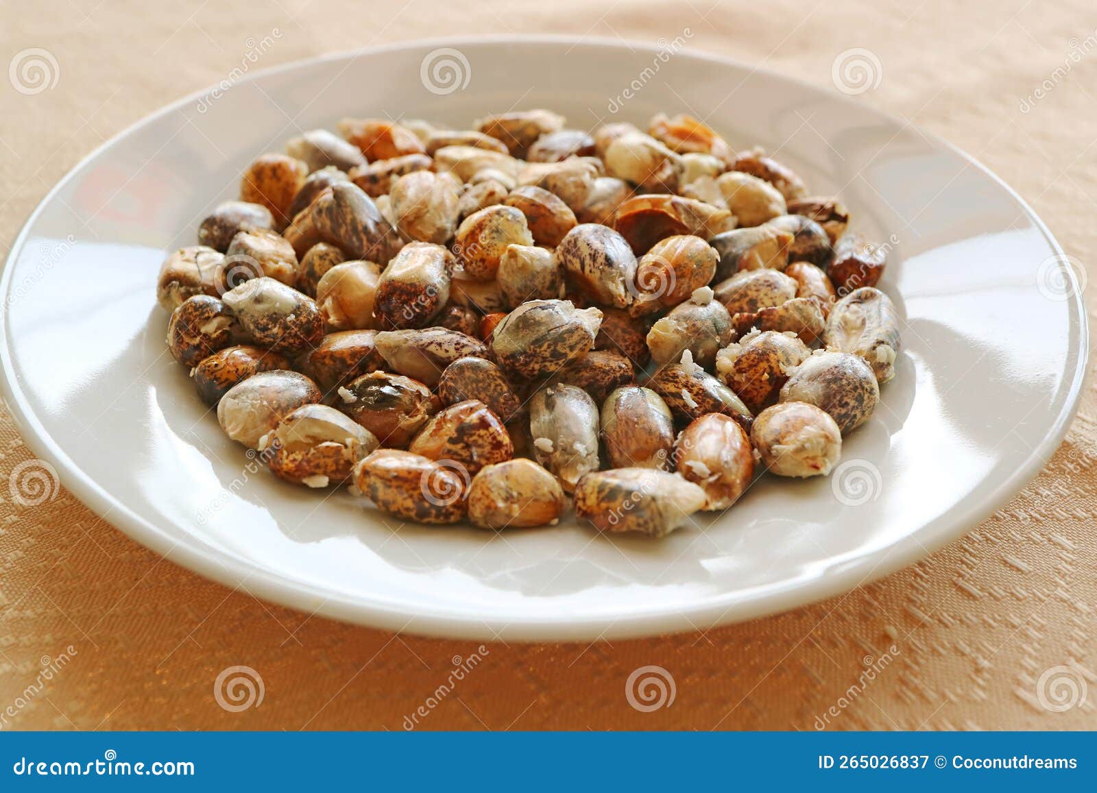 Cancha, Andean Toasted Chulpe Corn With Salt, Popular Tasty Corn Snack ...