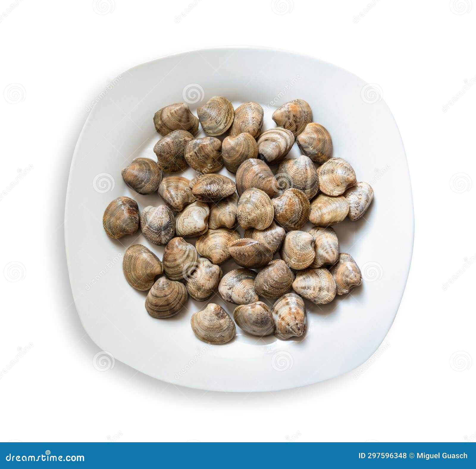 Plate of Uncooked Fine Clams Isolated from White Background, Top View ...