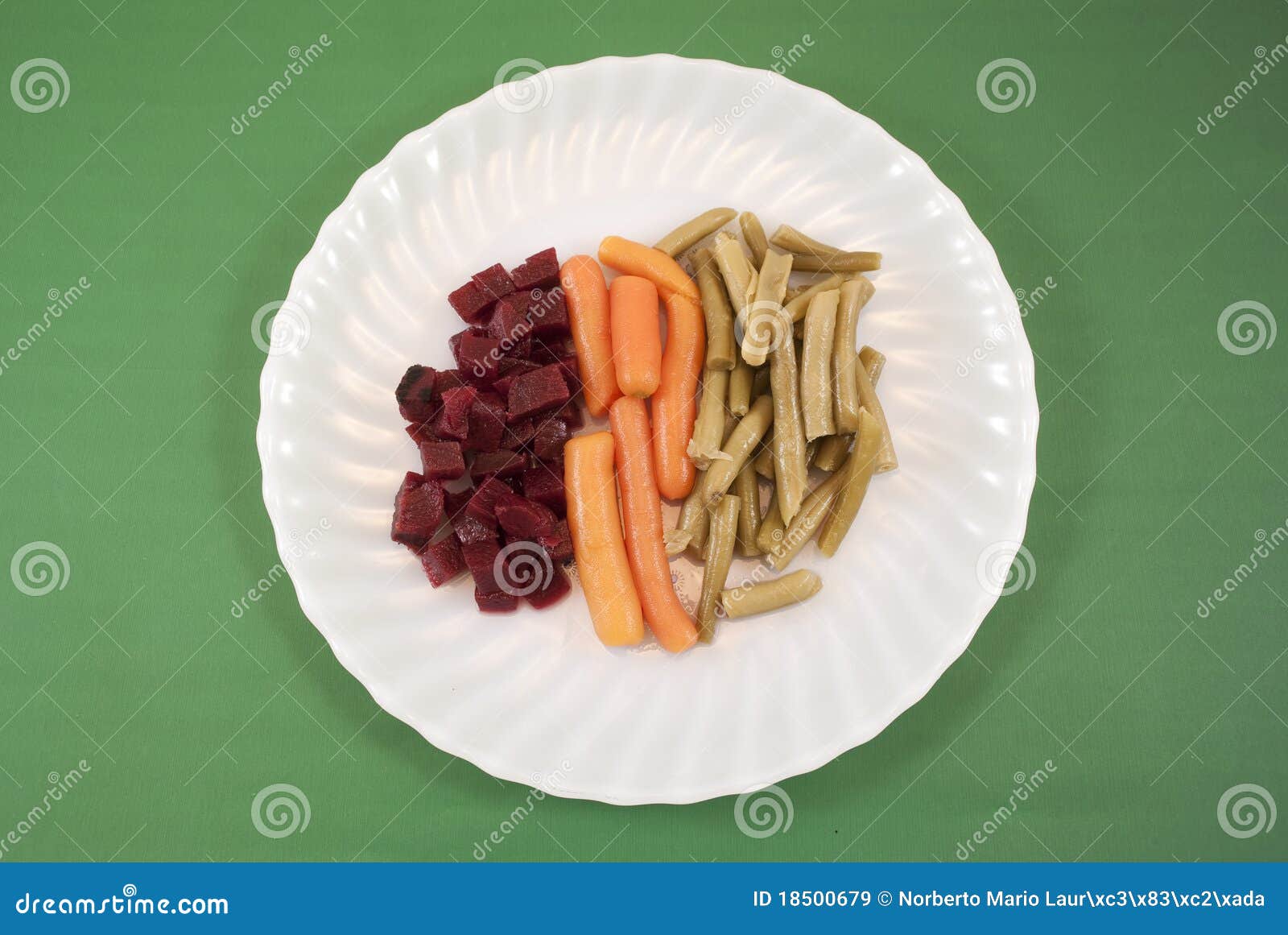 Plate with vegetables stock image. Image of healthy, foods - 18500679