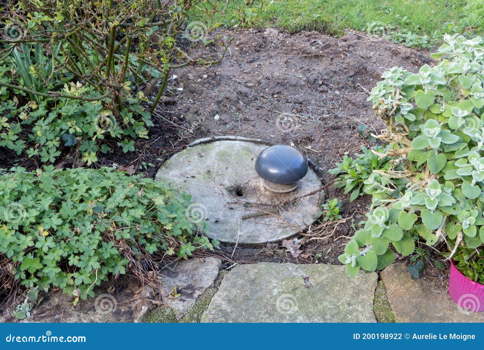 Plate and Ventilation of a Septic Tank Stock Photo - Image of ...