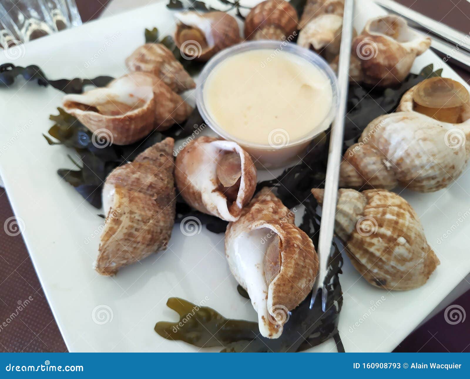 Plate of whelks stock image. Image of seafood, sauce - 160908793