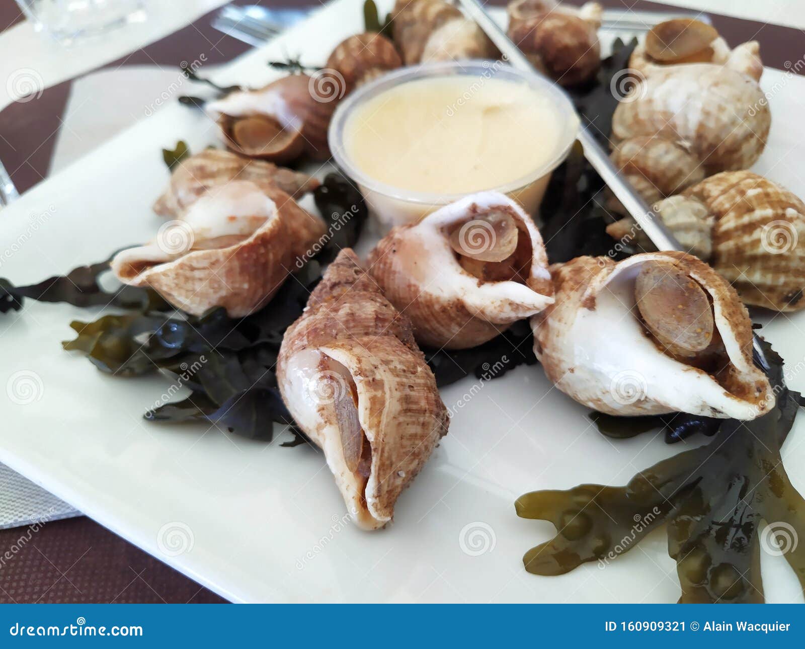Plate of whelks stock image. Image of table, shellfish - 160909321