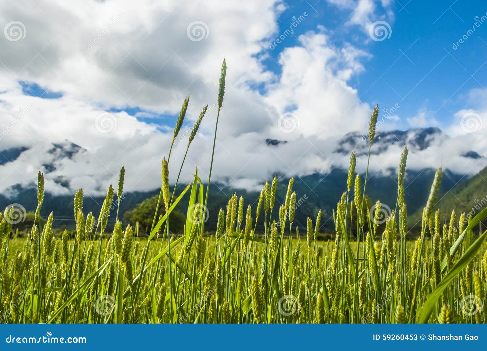 Plateau climate stock image. Image of travel, outdoor - 59260453