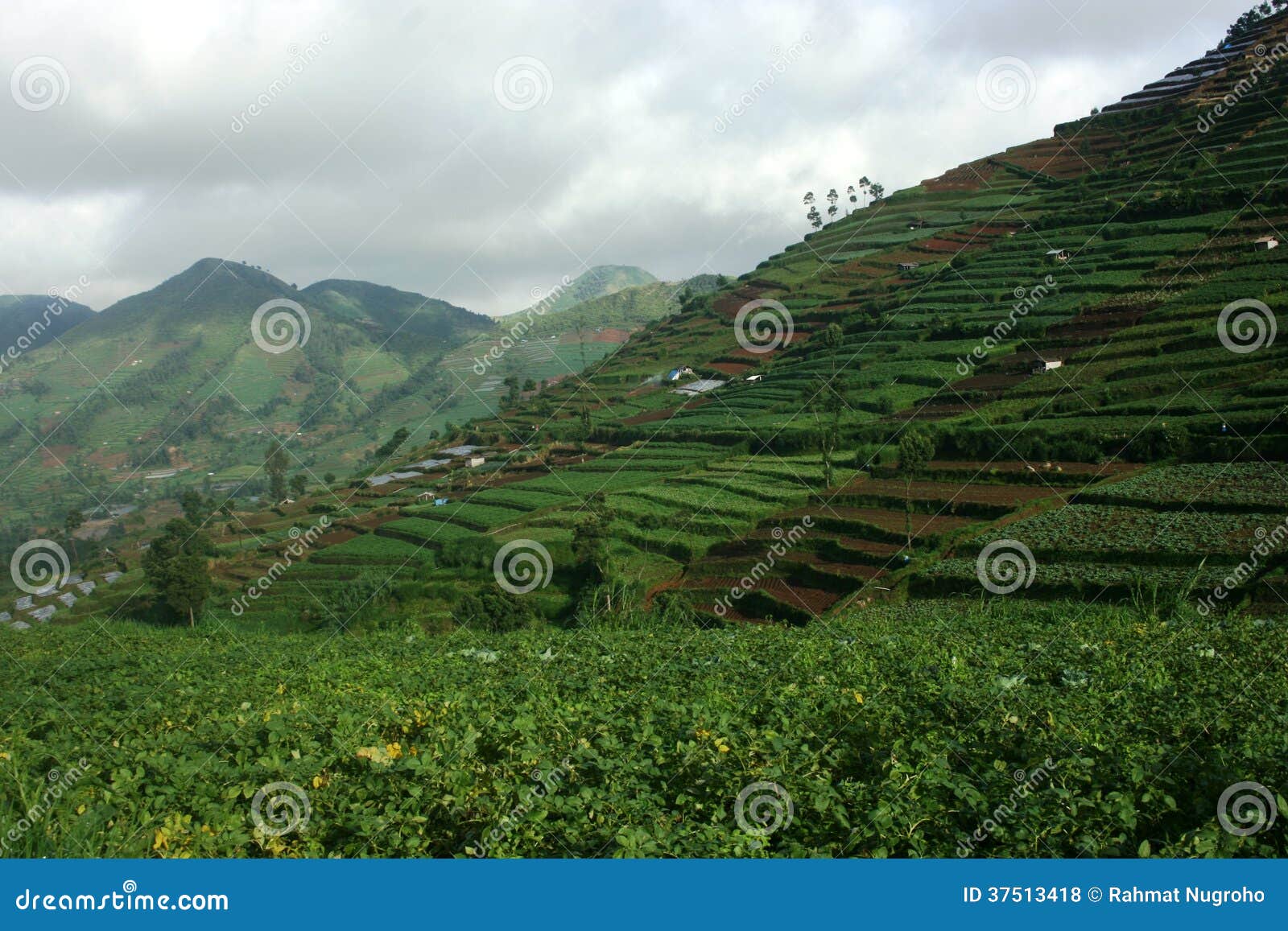 Plateau de Dieng photo stock. Image du indonésie, beauté - 37513418