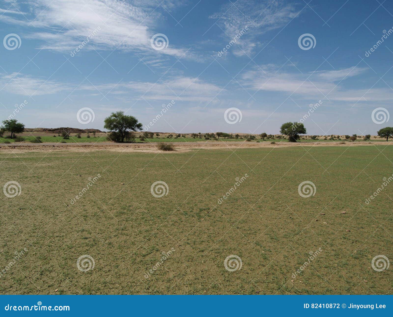 Plateau stock photo. Image of cloud, dirt, desert, tree - 82410872