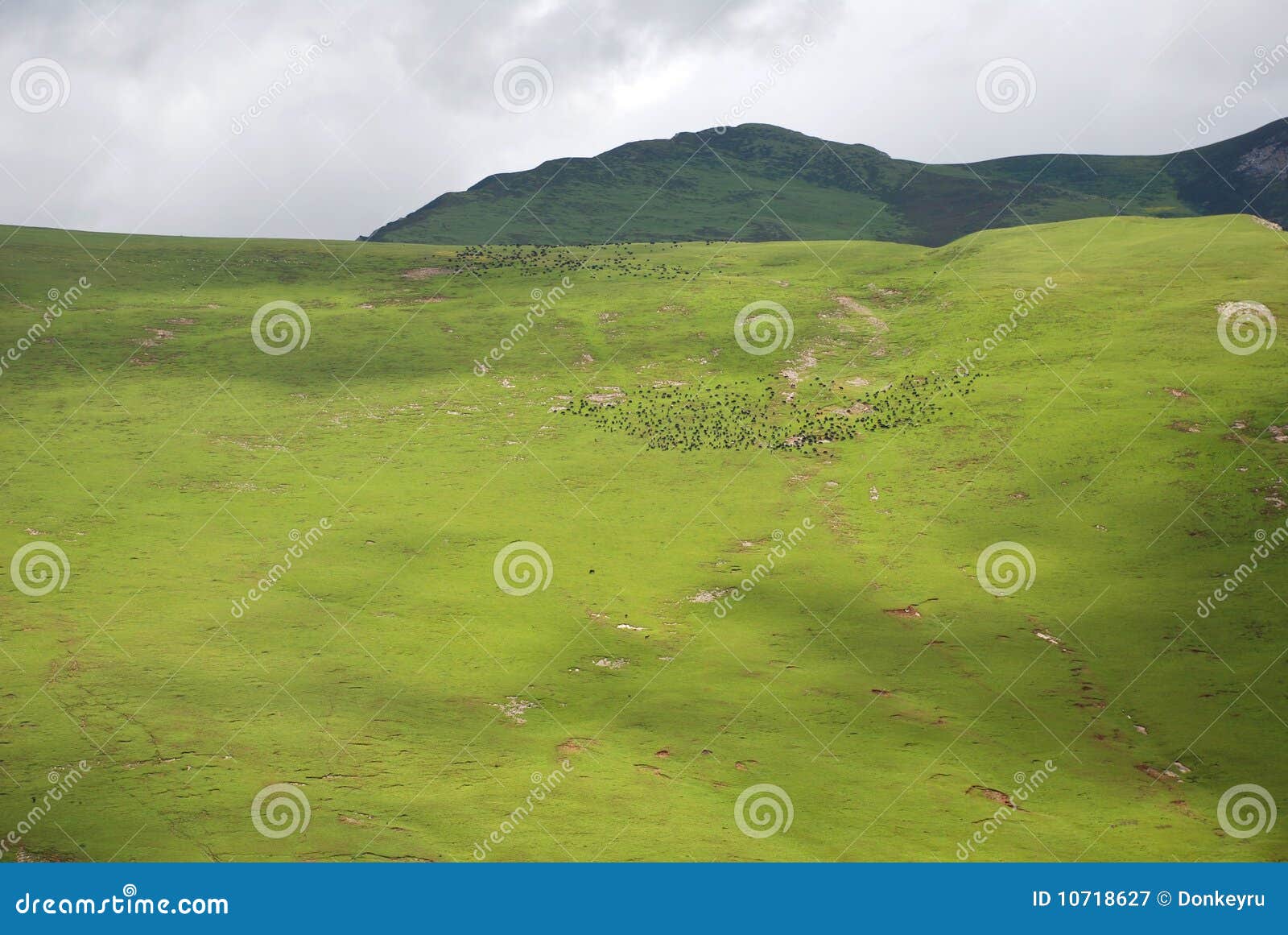 Plateau pasture stock image. Image of landscape, blue - 10718627