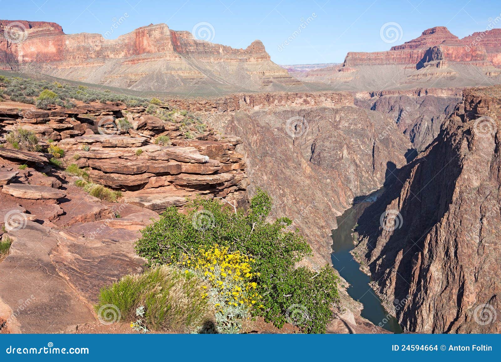 Plateau Point stock photo. Image of river, gorge, erosion - 24594664