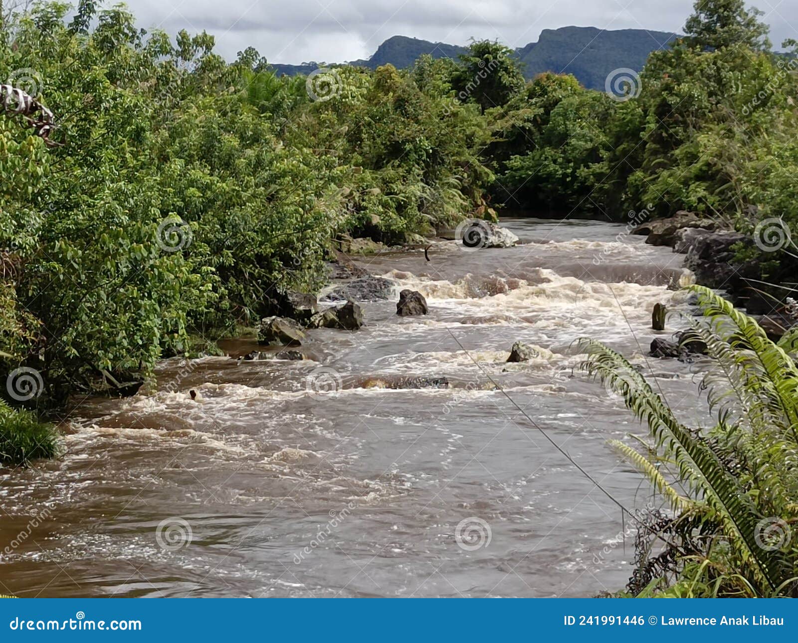 Plateau Remote Area with Peat Soil and Beautiful River. Stock Photo ...