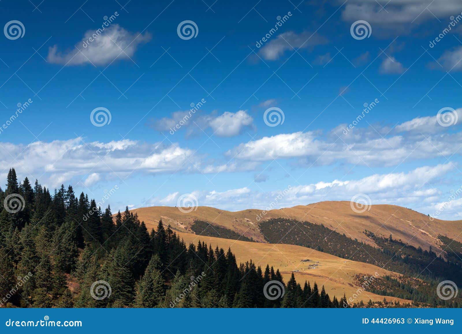 Plateau scenery stock image. Image of forest, natural - 44426963