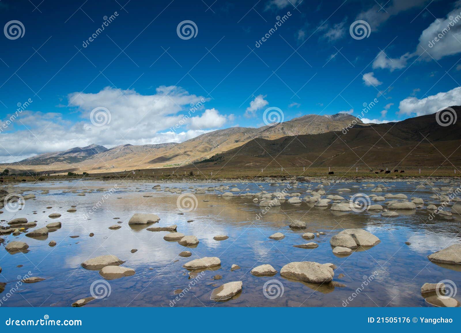 Plateau Scenery,daocheng,china Stock Photo - Image of scenery ...