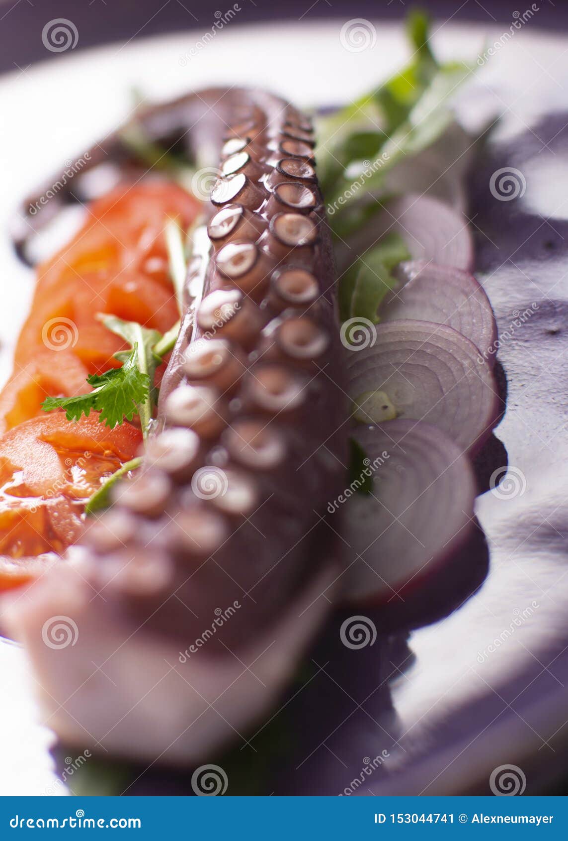 Octopus stock image. Image of cold, cook, foodstyling - 153044741