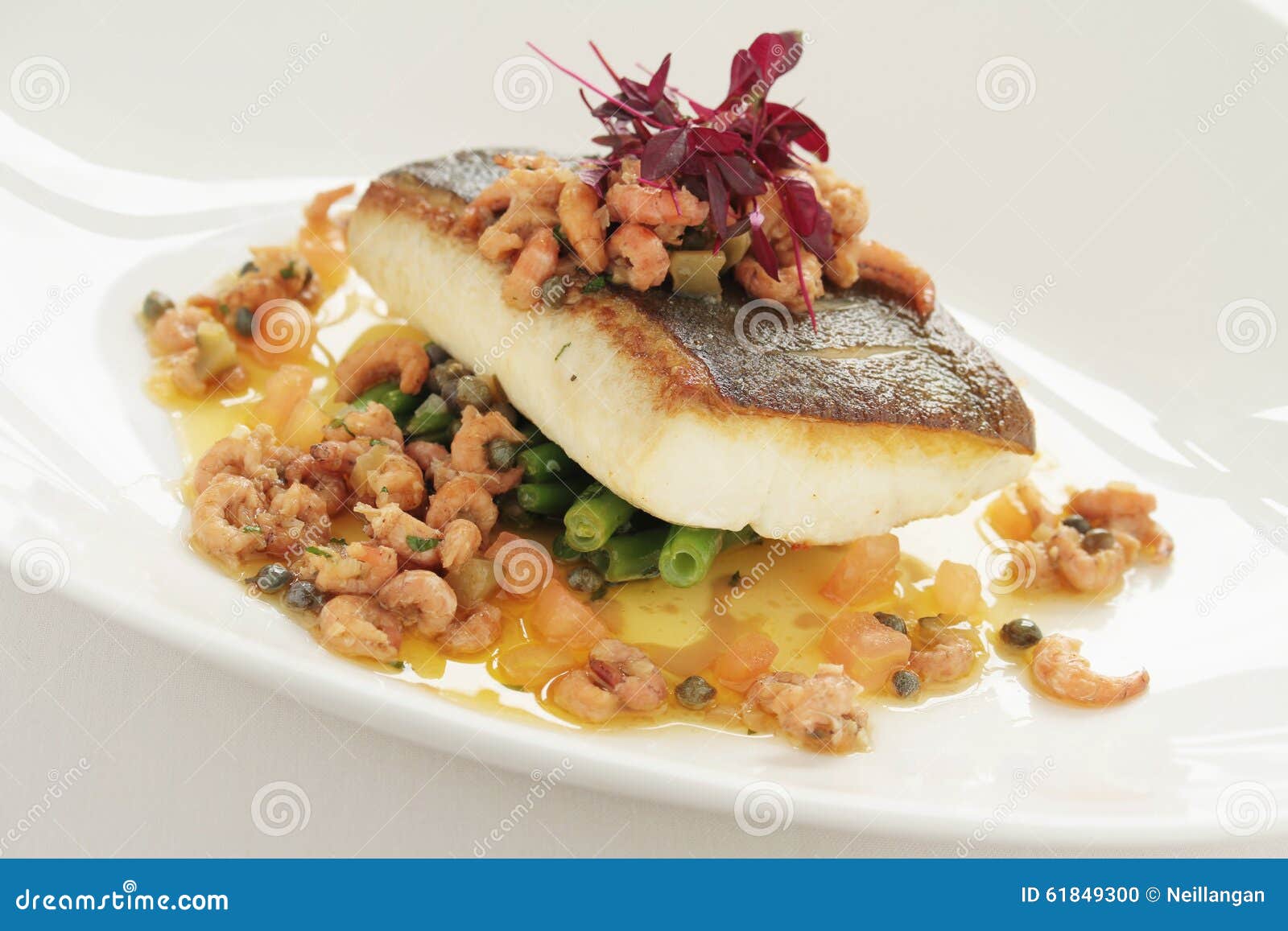 Plated fish meal stock photo. Image of white, dinner - 61849300
