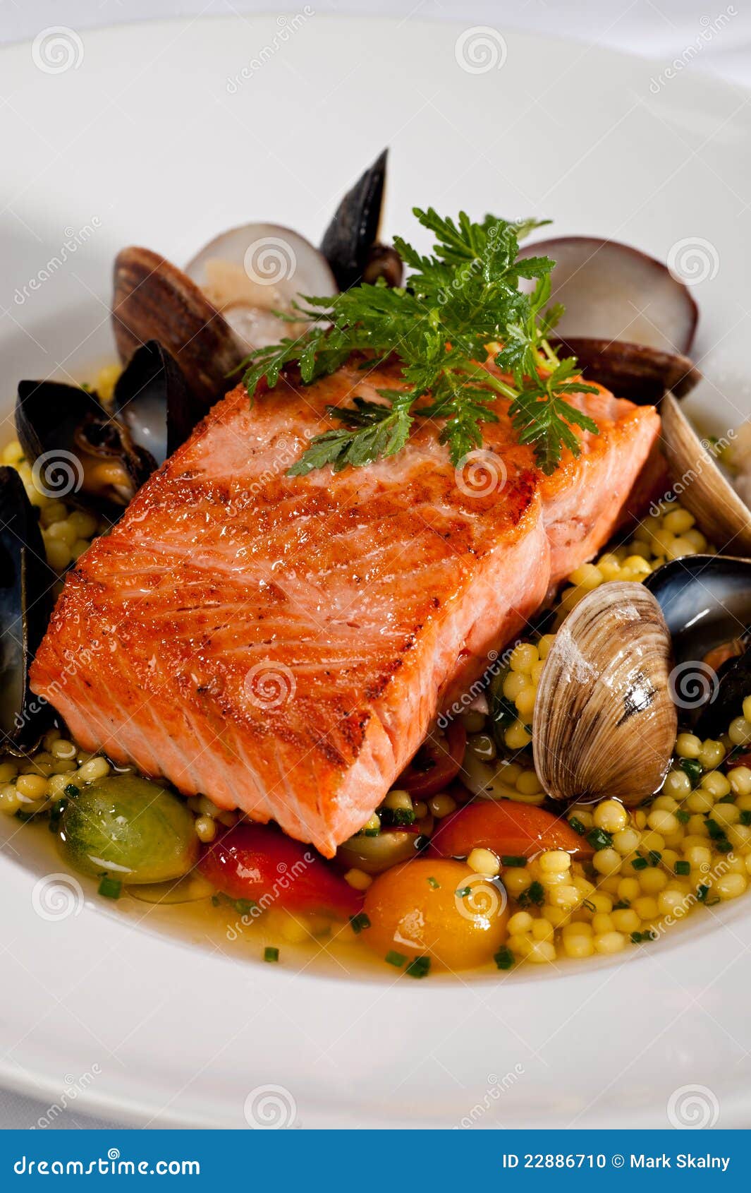 Plated Salmon Seafood Dinner Stock Photo - Image of plate, garnish ...