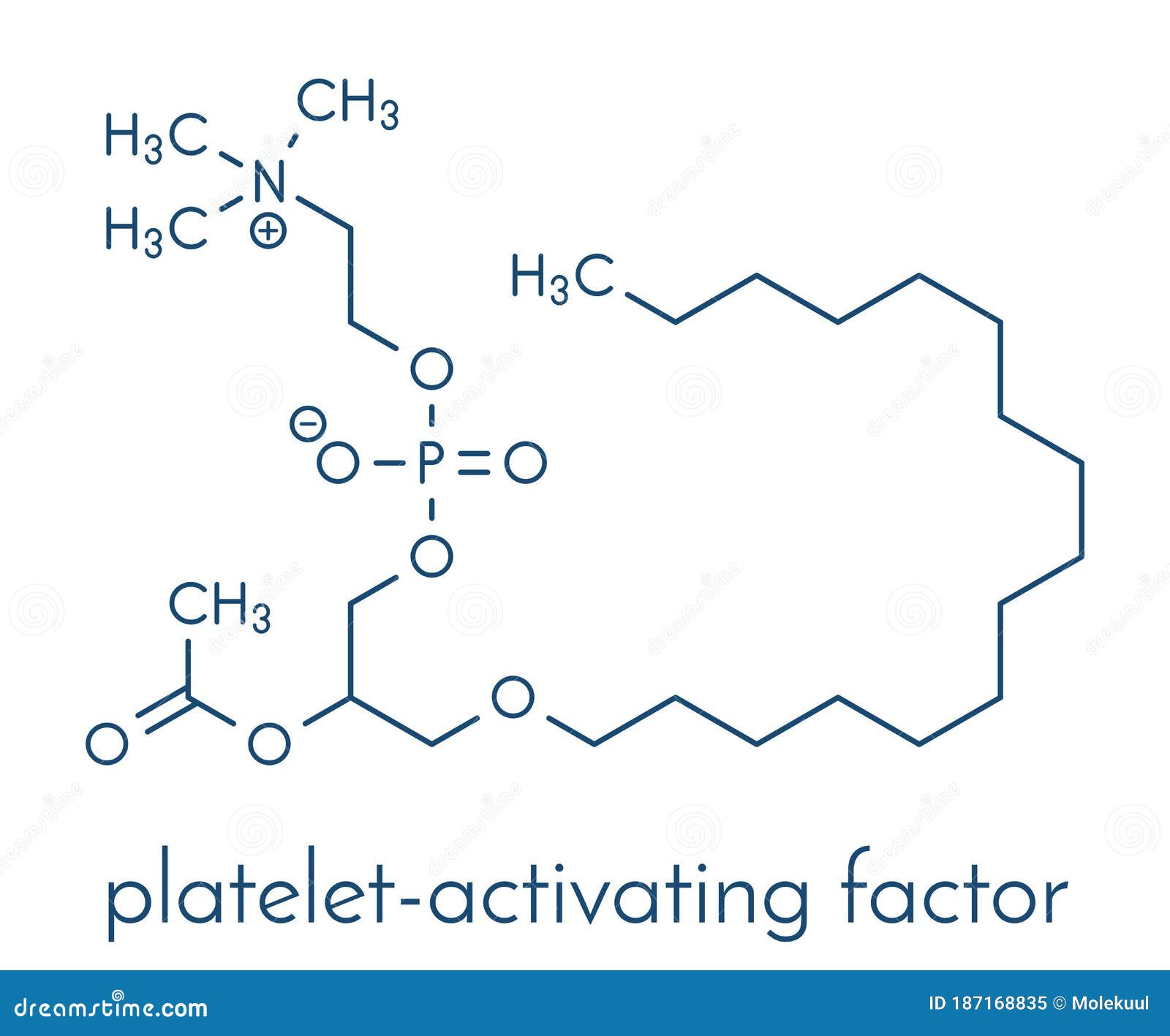 Platelet-activating Factor Molecule. Plays Role in Thrombosis ...
