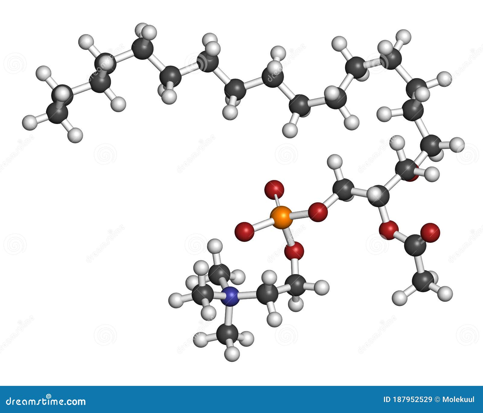 Platelet Activating Factor PAF Signaling Molecule. 3D Rendering Stock ...