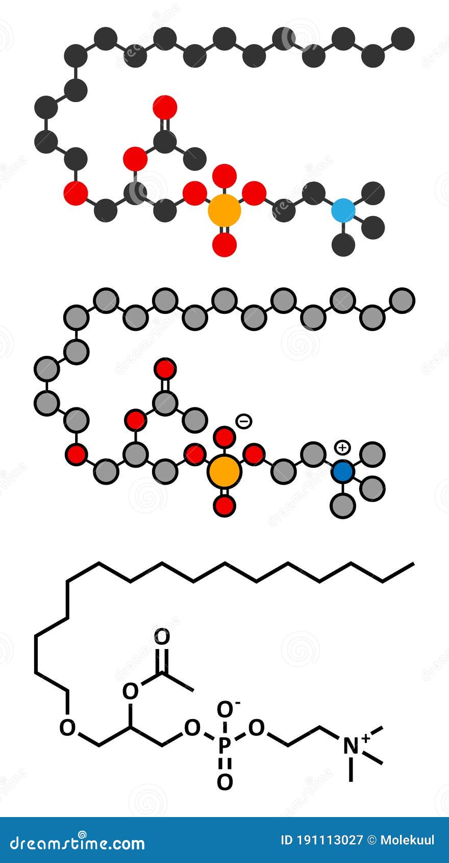 Platelet Activating Factor (PAF) Signaling Molecule Stock Vector ...