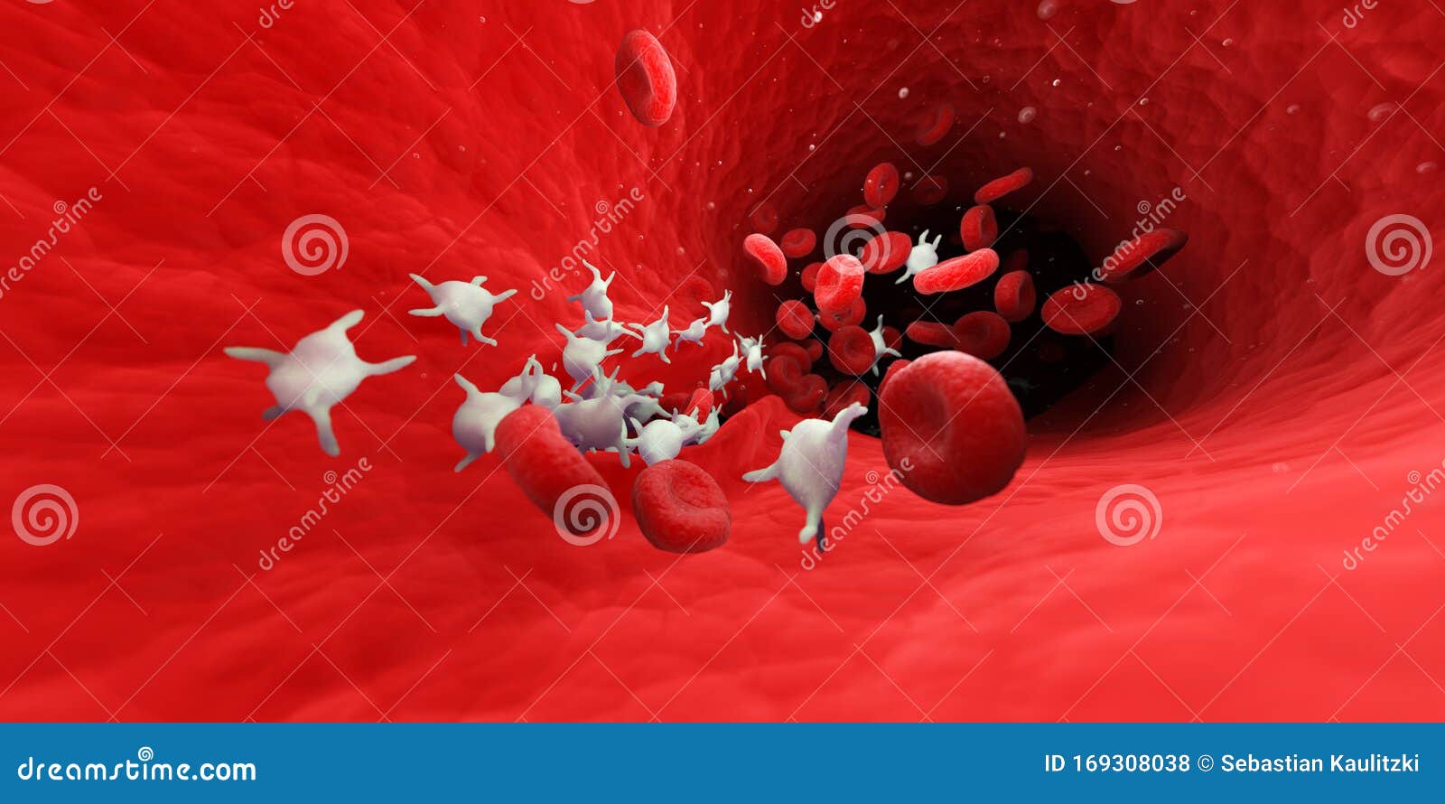 Platelets stock illustration. Illustration of life, rendered - 169308038