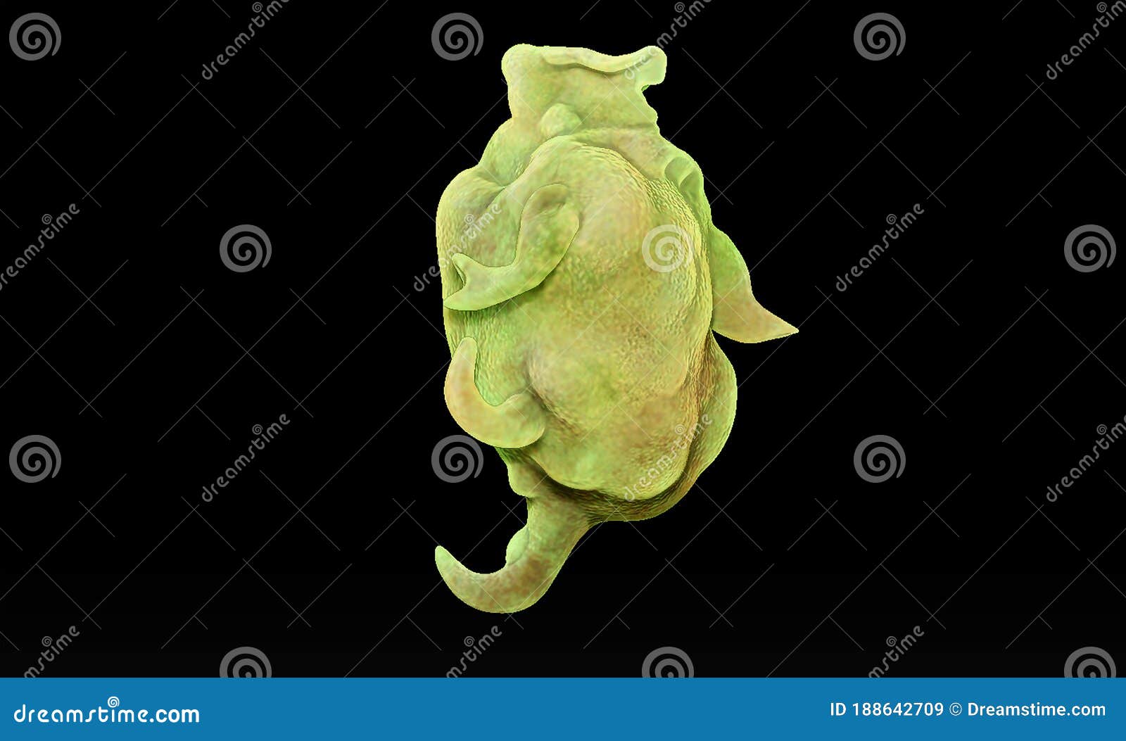 Platelets, red blood cells stock image. Image of medicine - 188642709