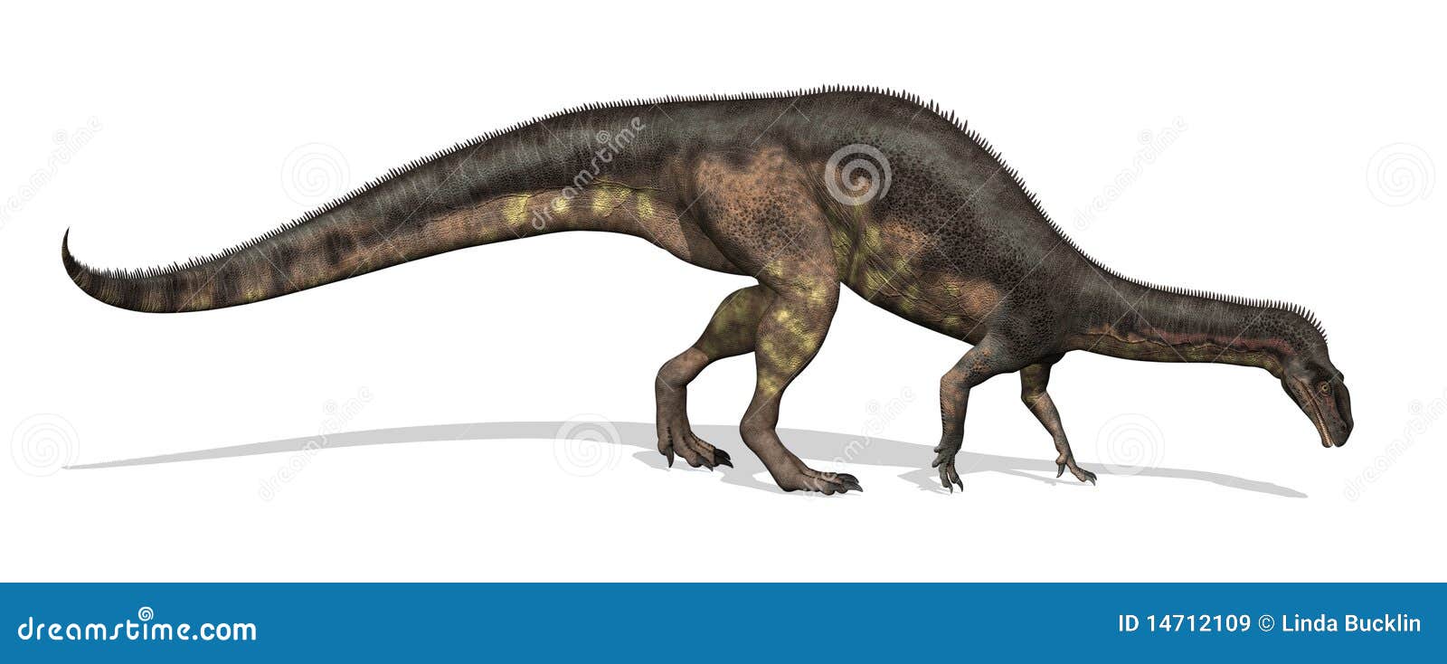 Plateosaurus Dinosaur stock illustration. Illustration of extinct ...