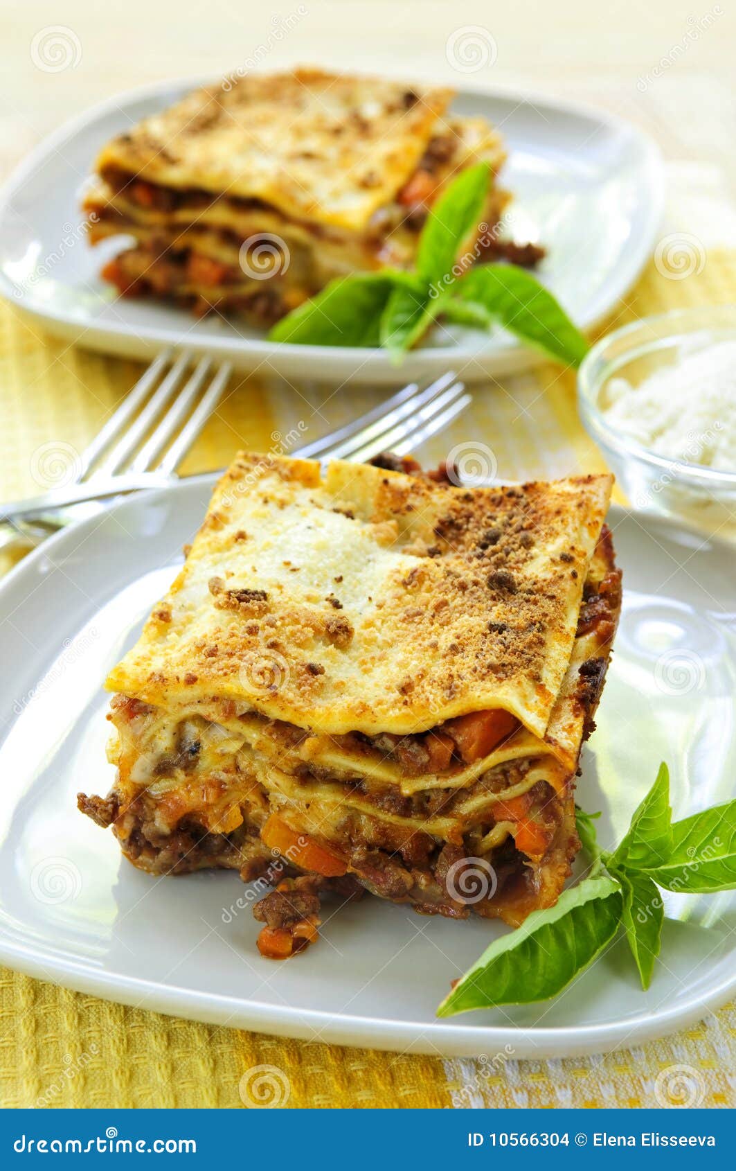 Plates of lasagna stock photo. Image of lasagna, ethnic - 10566304