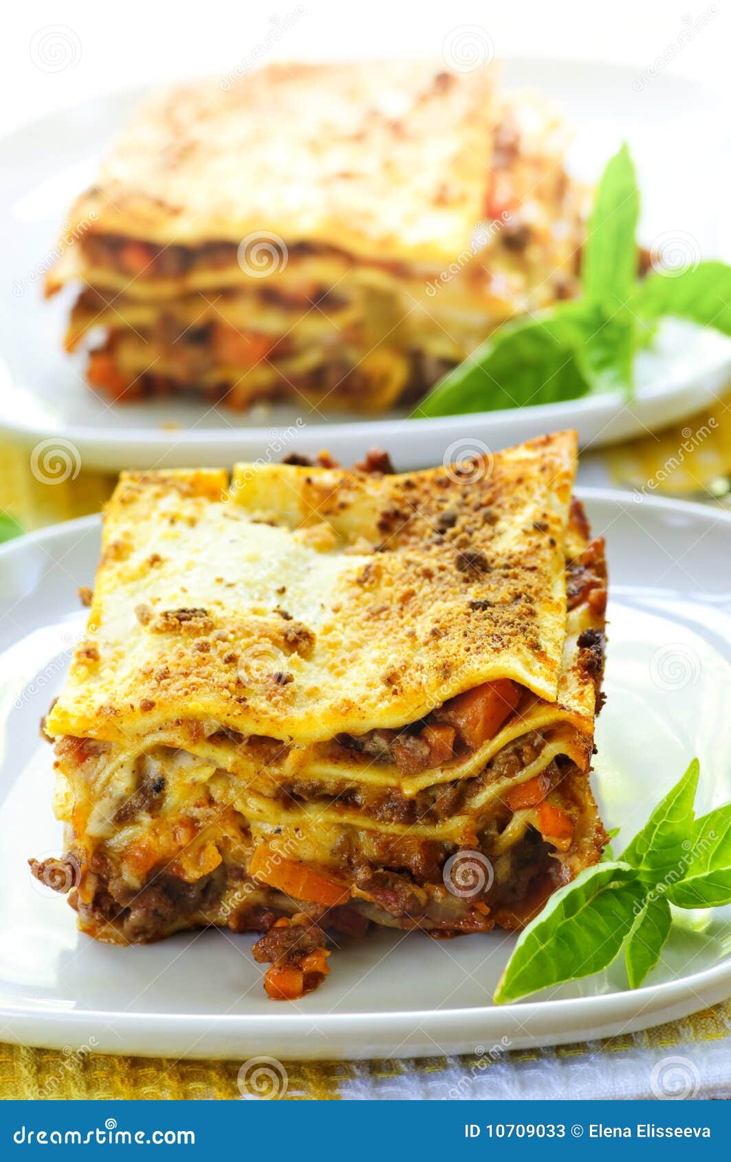 Plates of lasagna stock image. Image of meal, cook, cooking - 10709033