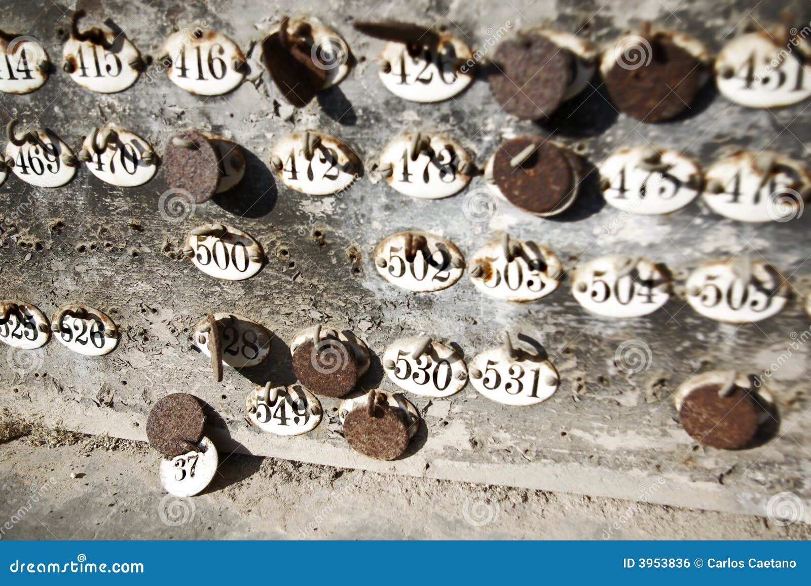 Identification Numbers, Various Laboratory Tests Forensic Equipment ...