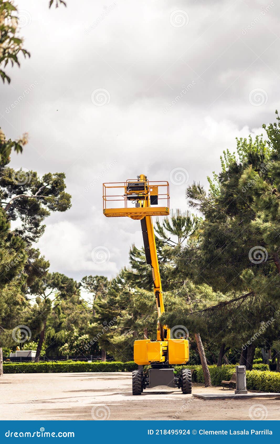 Platform Lift for Pine Pruning in the Park Stock Photo - Image of ...