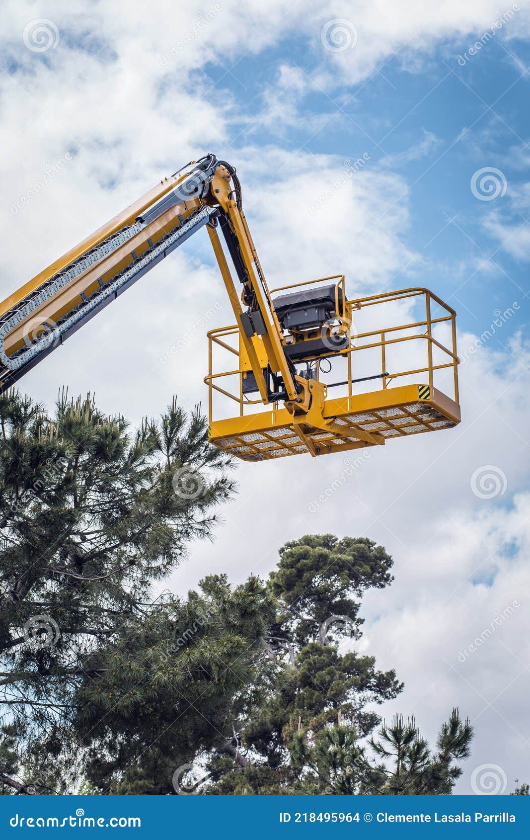 Platform Lift for Pine Pruning in the Park Stock Photo - Image of ...