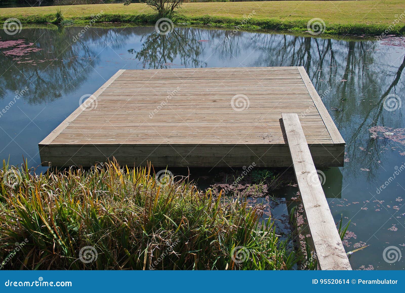 PLATFORM on POND stock photo. Image of platform, floating - 95520614
