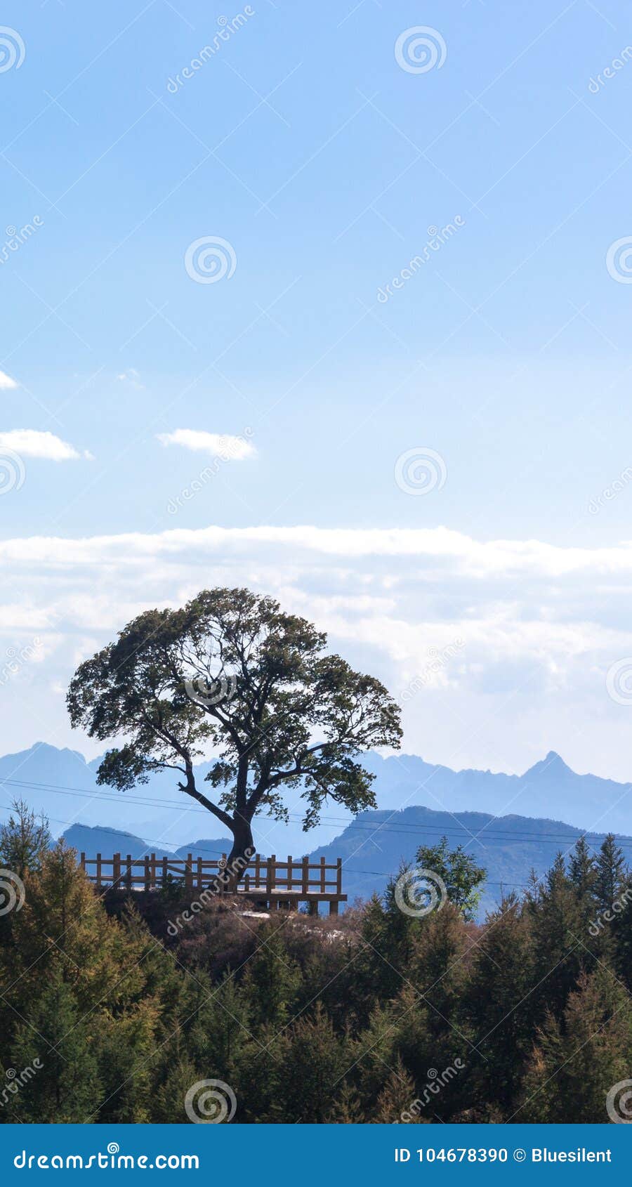 Observation Deck with a Single Tree Stock Photo - Image of beautiful ...